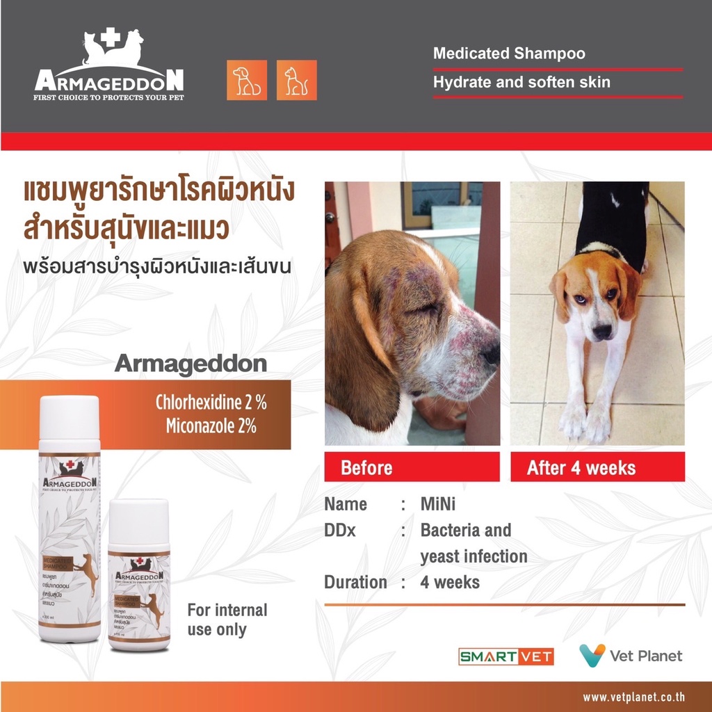 Armageddon Dog Shampoo แชมพูสุนัข แชมพูอาร์มาเกดดอน แชมพูผิวหนัง สำหรับ ...