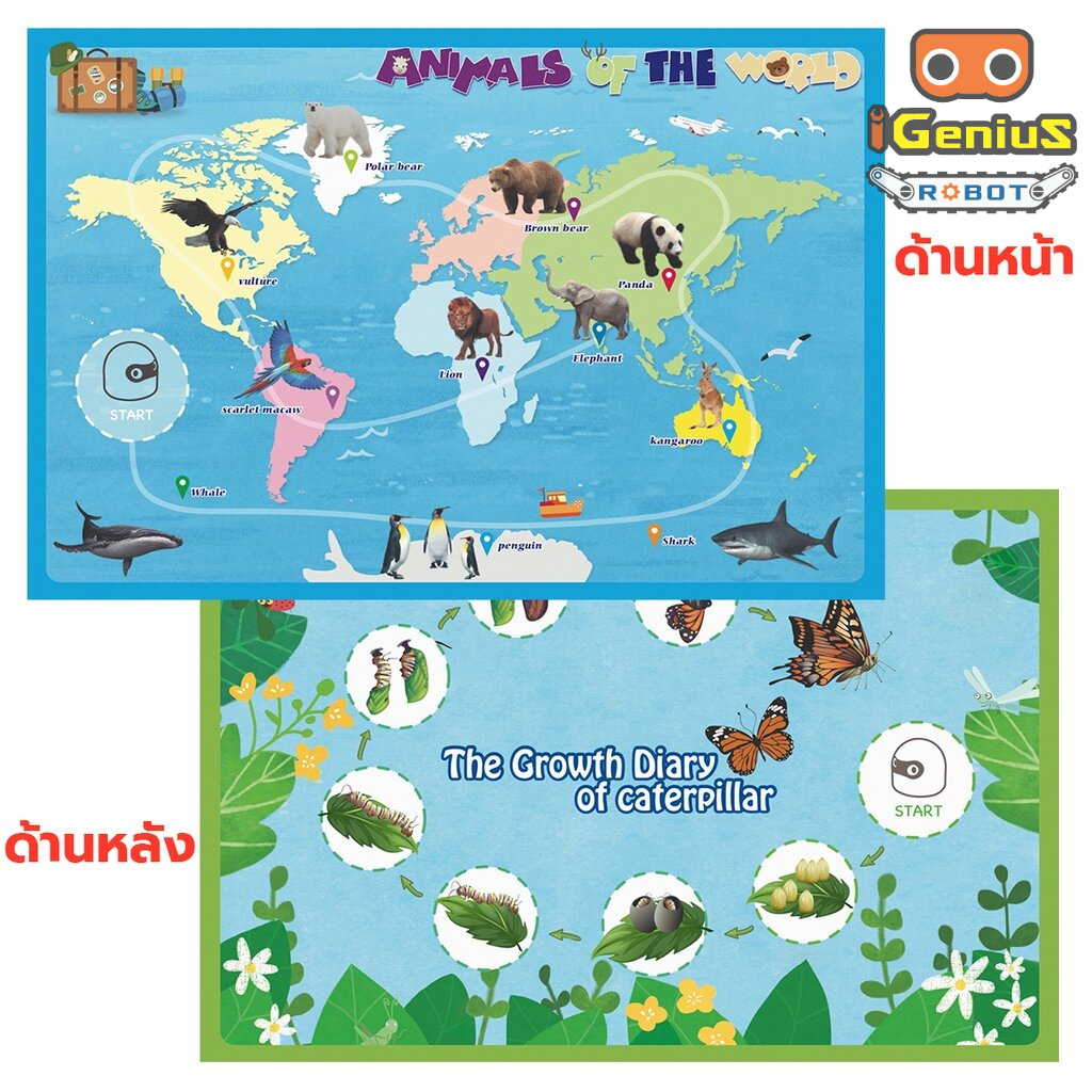 ฟรีของแถม ของเล่นเสริมพัฒนาการ v2 หุ่นยนต์ Coding Unplugged Robot โปรแกรม Genius Innovative Toy ...