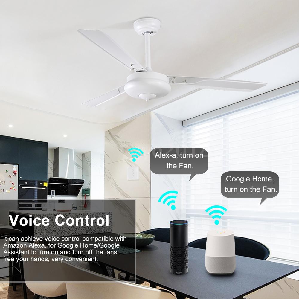 Alexa Compatible Ceiling Fan | Shelly Lighting