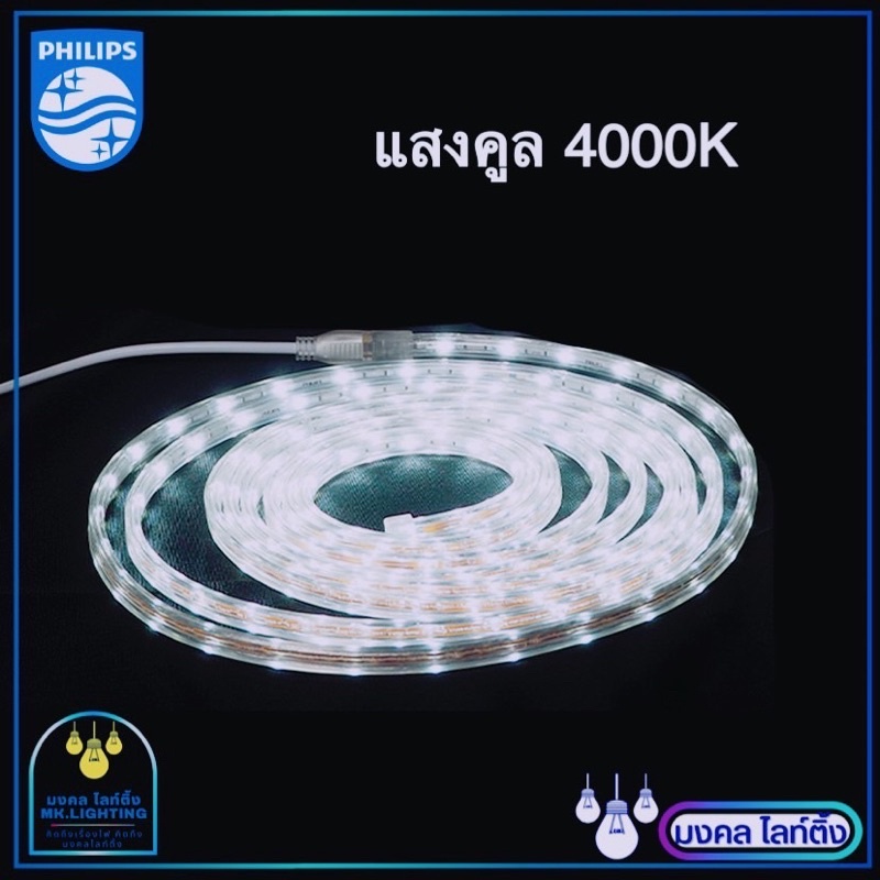 PHILIPS ไฟเส้น LED Rope Strip ยาว 50 เมตร ฟิลิปส์ รุ่น 31086 แสงขาวและ ...