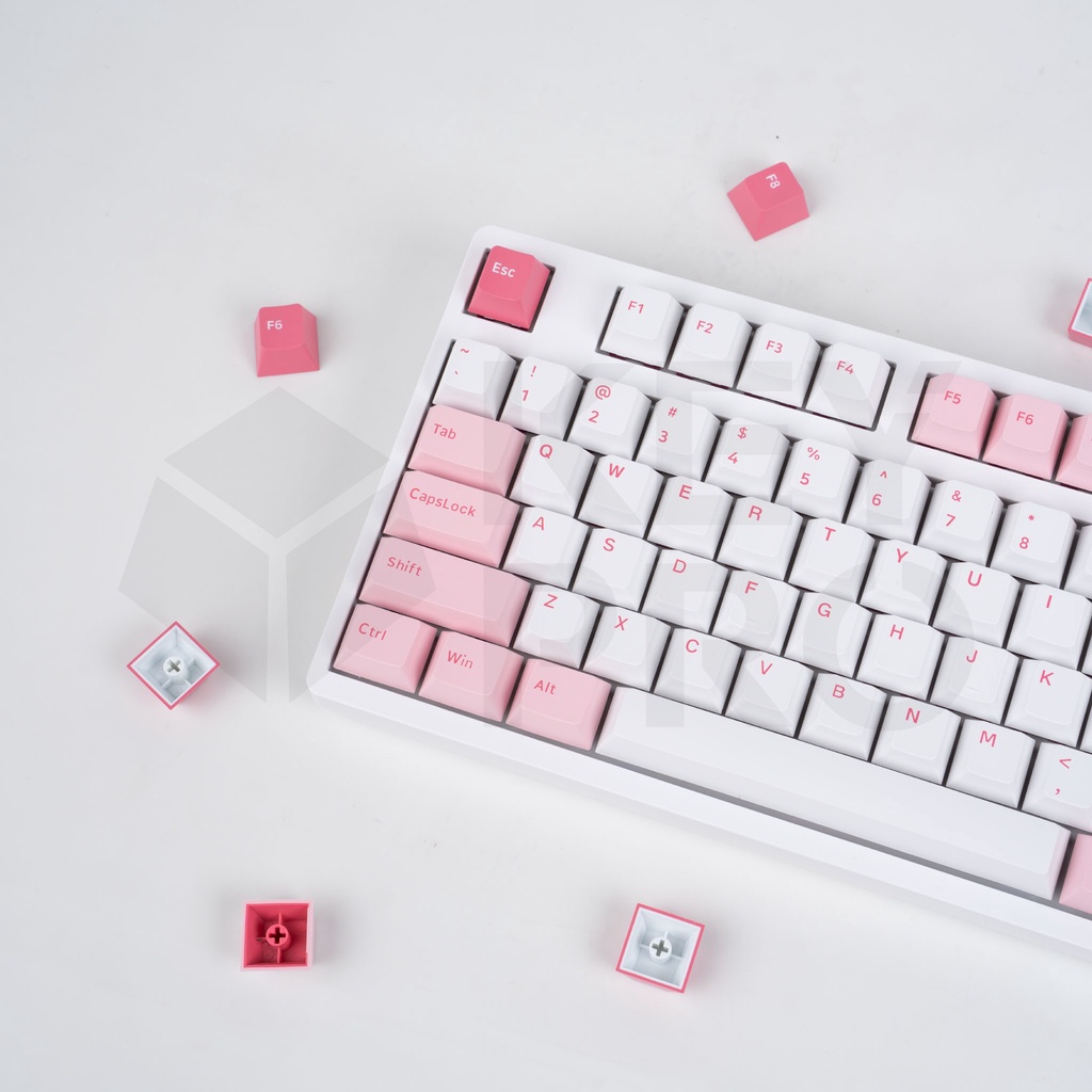 คีย์บอร์ด Akko 3087 Plus Prunus Lannesiana TKL 87 ปุ่ม Mechanical ...