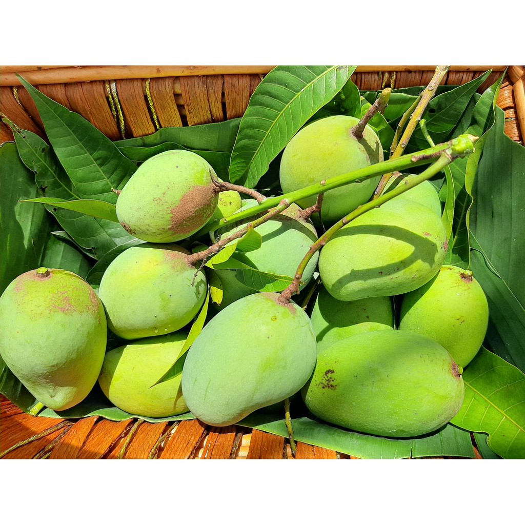 ตุนหวง พุดดิ้งผง แป้งเยลลี่โฮมเมด ขนม ไข่คาราเมลดั้งเดิม มะม่วง ผงสตรอ
