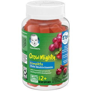 Gerber Grow Mighty Complete Kids Gummy Multivitamin 12g Bottle O8AN ...