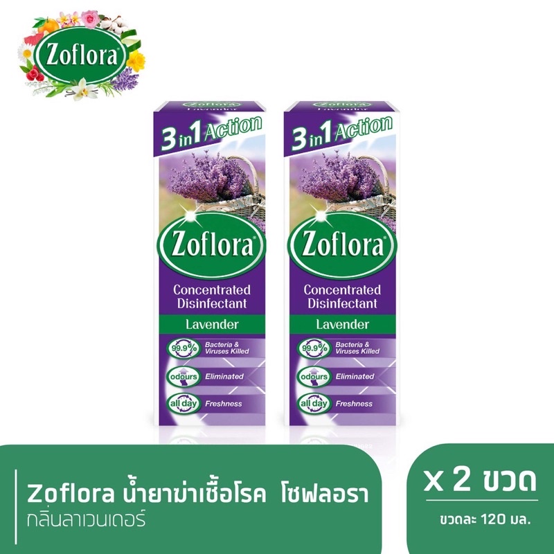 Zoflora à¸‚à¸§à¸”à¸¥à¸°99 à¸™à¹‰à¸³à¸¢à¸²à¸†à¹ˆà¸²à¹€à¸Šà¸·à¹‰à¸­à¸­à¹ ...