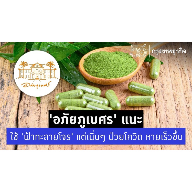 ABHAI ANDRO อภัยภูเบศร แอนโดร ยาแคปซูล สารสกัดฟ้าทะลายโจร 30 แคปซูล อภัยภูเบศร ฟ้าทะลายโจร 400mg ...