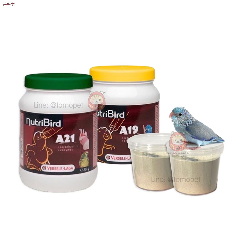 แพคเกจใหม่ Nutribird B18 ถุง3kg. - cocoshop_by1 - ThaiPick