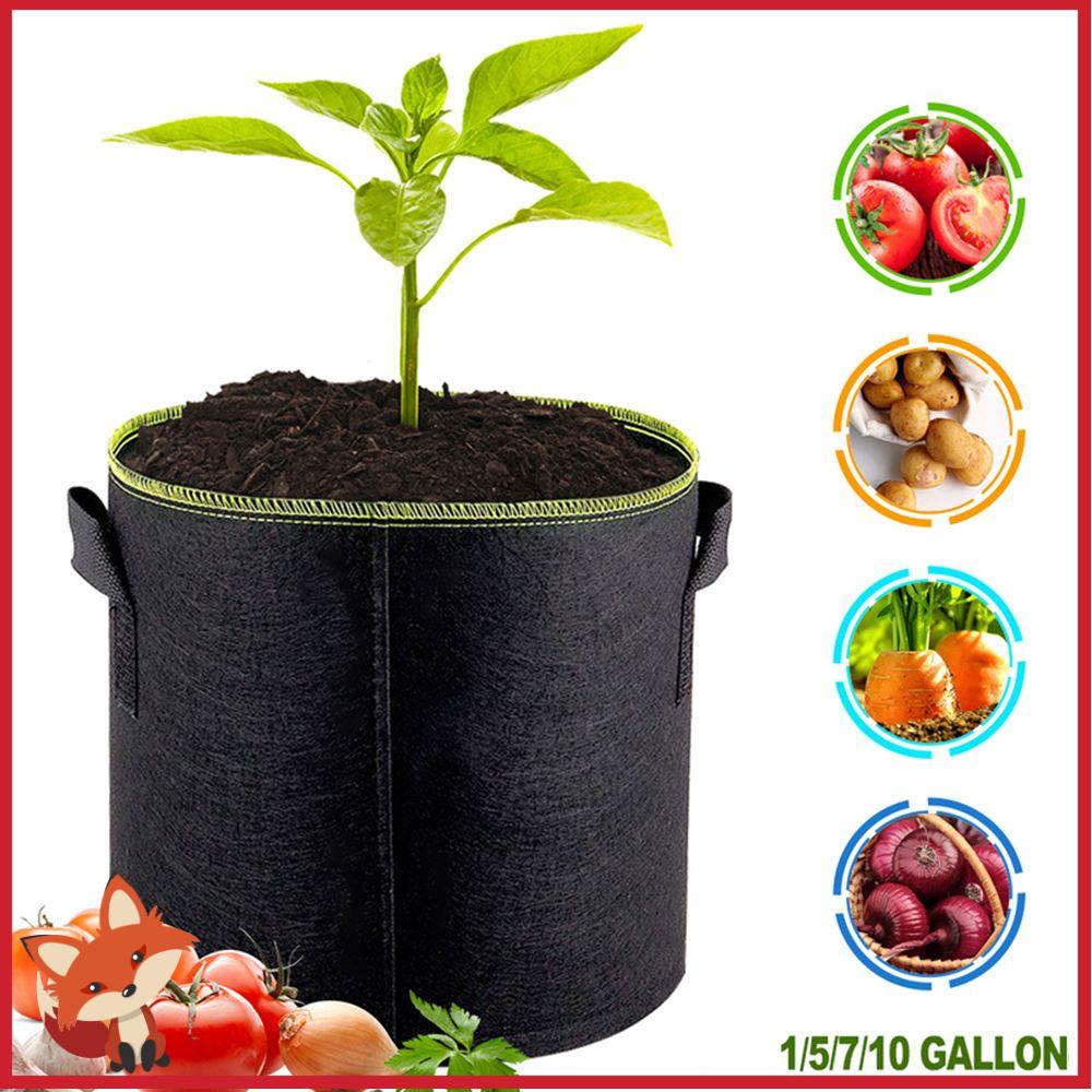 FAY???? Seed Farm Plant Grow Bag Garden Planting Felt Flower Pot Potato ...