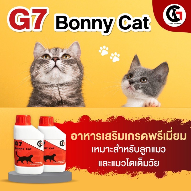 G7 Bonny Cat ขั้นสุดของการบำรุงเจ้าเหมียว - kookkik.wachida - ThaiPick