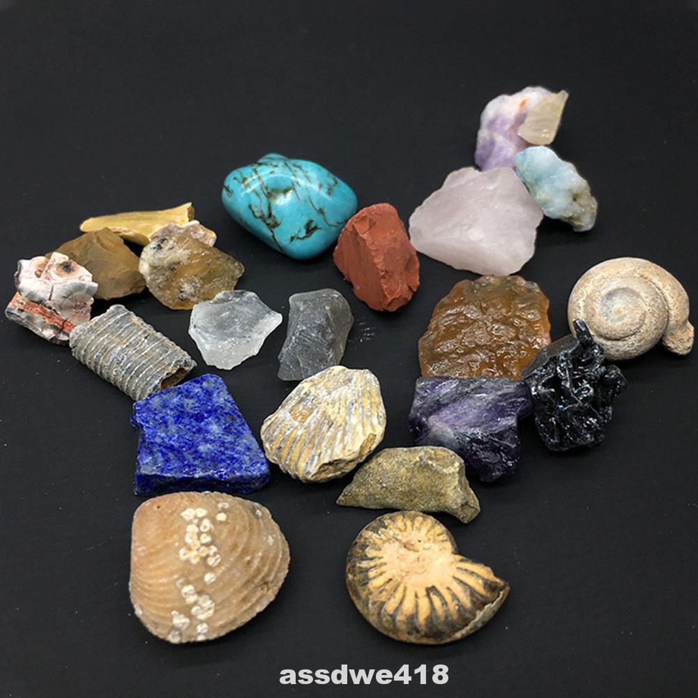 Craft Durable Ornament Teaching Materials Useful Ore Set - assdwe418.th ...