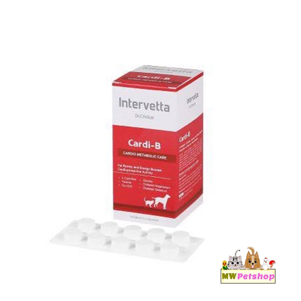 Vetriscience Cardio Strength 90 Capsules บำรุงหัวใจสุนัขและแมว ...