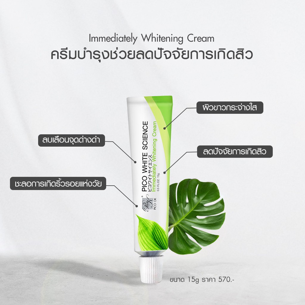 picook.official, ร้านค้าออนไลน์ | Shopee Thailand