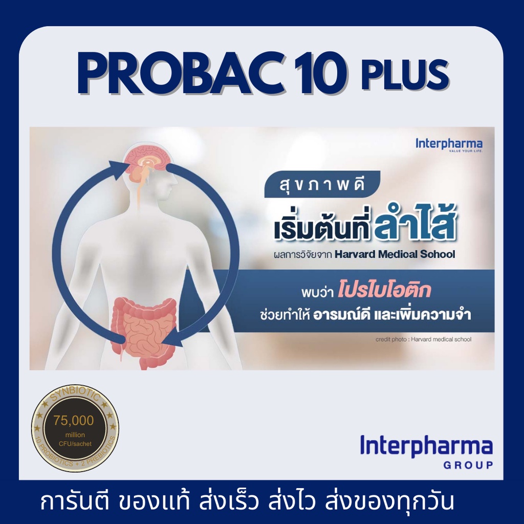 แพคสุดคุ้ม3กล่อง Probac10 Plus ของเเท้ EXP 102023 Interpharma Probiotic ...