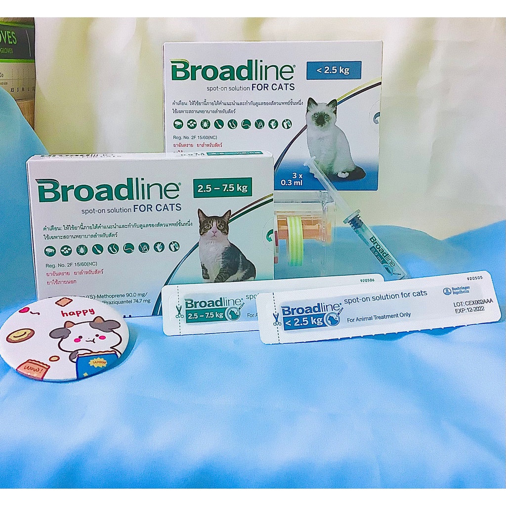 Broadline ถูกที่สุด พร้อมโปรโมชั่น ก.ย. 2022|BigGoเช็คราคาง่ายๆ