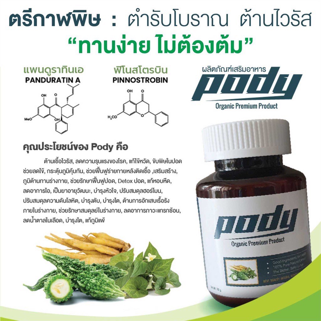Pody (โพดี้) อาหารเสริม ตำรับโบราณ กระชายขาว เสริมภูมิคุ้มกัน บำรุงปอด ...