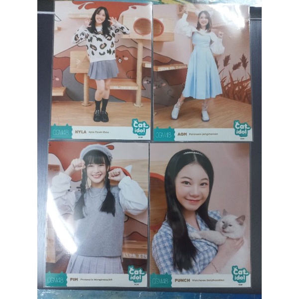 cat idol photoset ถูกที่สุด พร้อมโปรโมชั่น ก.พ. 2026 | BigGoเช็คราคาง่ายๆ