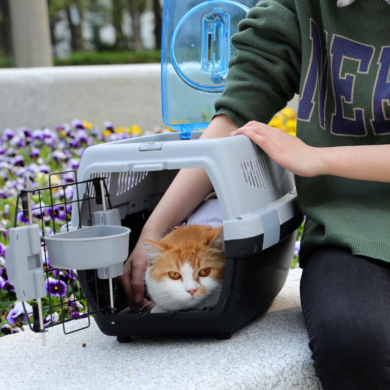 Cat air box cat cage cat box แบบพกพาออกสัตว์เลี้ยงเครื่องบินฝากขาย dog ...