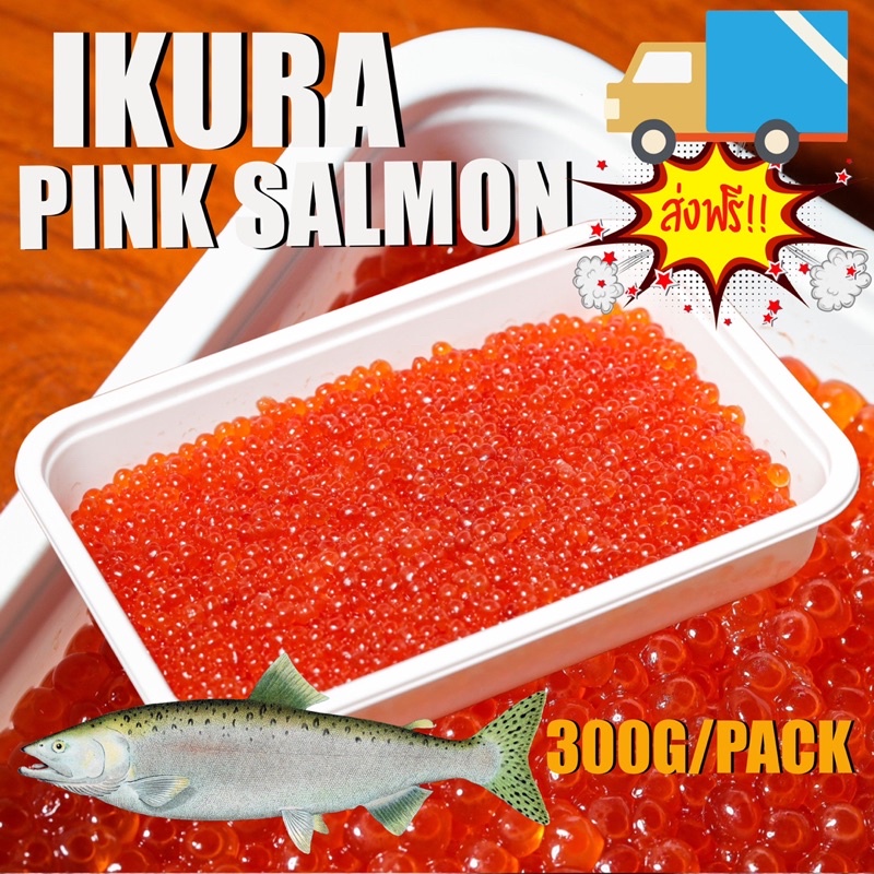 1,099 Only ส่งฟรี‼️ Premium Ikura ~ Pink Salmon Roe 300G ไข่ปลาแซลมอน ...