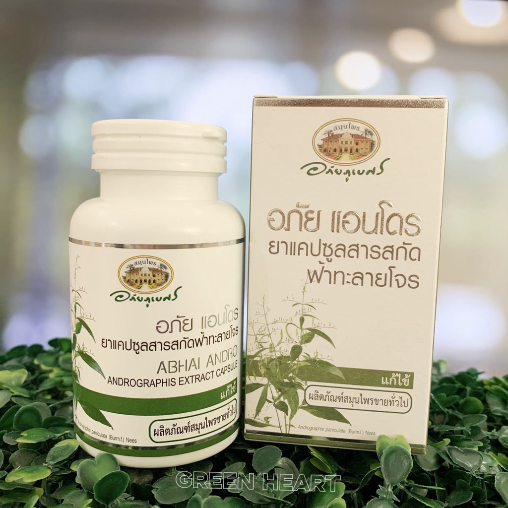 อภัย แอนโดร สารสกัดฟ้าทะลายโจร Abhai Andro Andrographis Extract Capsule (บรรจุ 30 แคปซูล) 1 ...