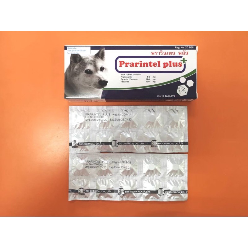 พาแรค Parax ถ่ายพยาธิสุนัข แมว ชนิดน้ำ - catshopshop - ThaiPick