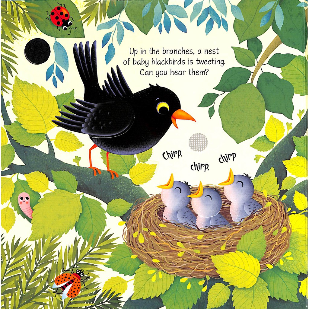 หนังสือนิทานภาษาอังกฤษ Bird Sounds (Usborne Sound Books) - Board book ...