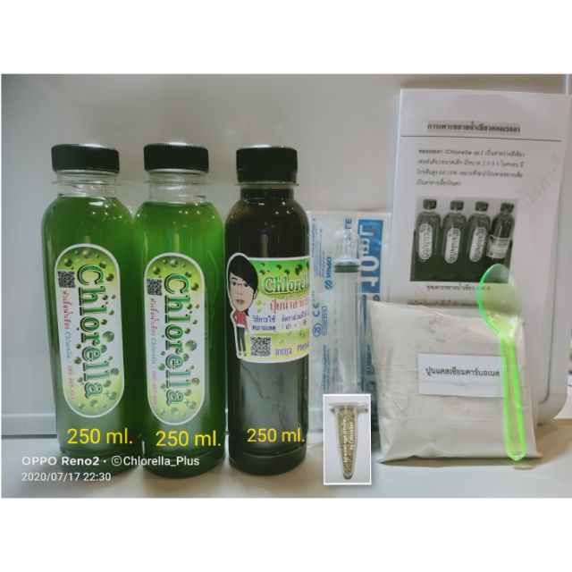 Chlorella starter kit; ชุดเพาะขยายหัวเชื้อน้ำเขียว-ไข่ไรแดง - chlorella ...