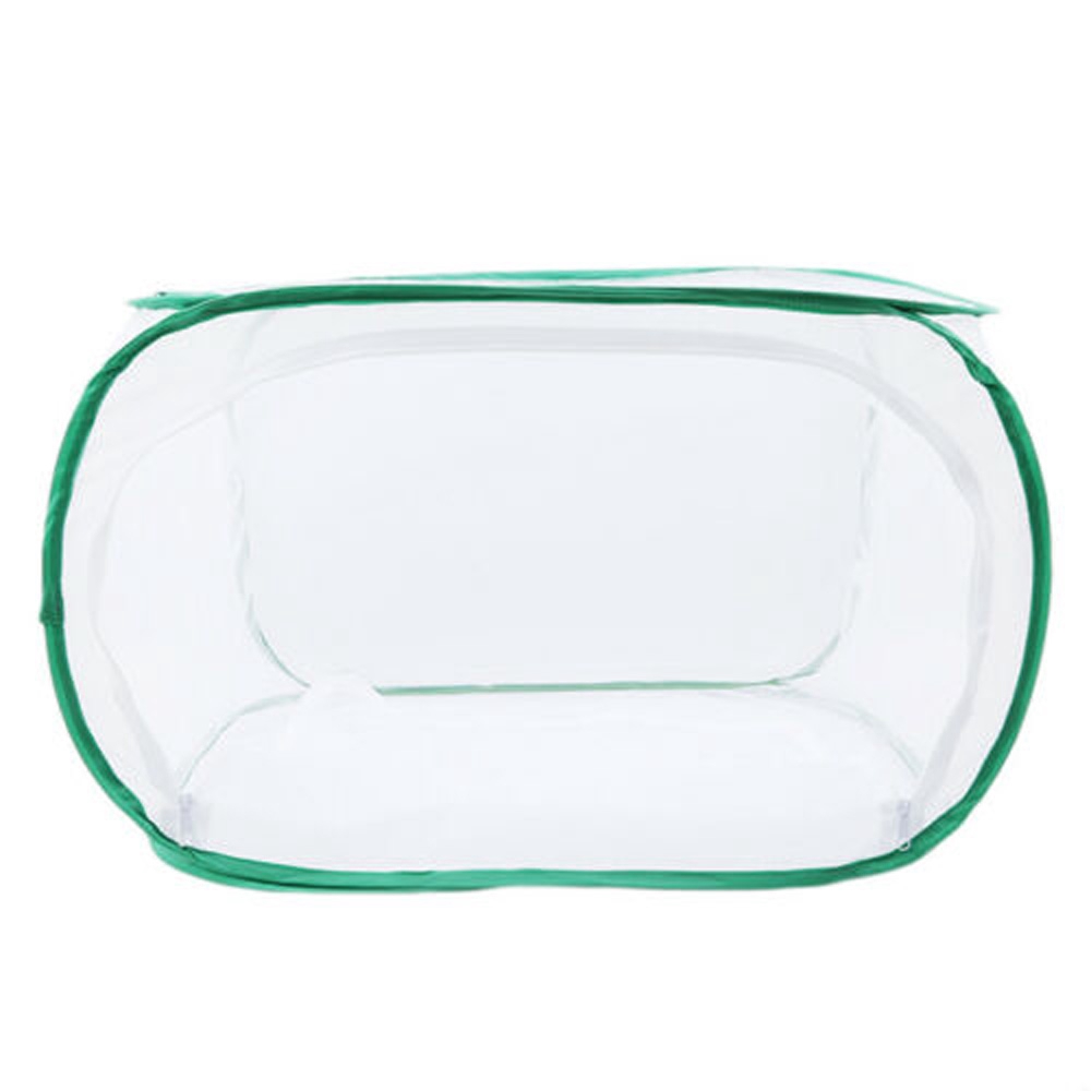 ALISONDZ Mantis Incubator Pet Supplies Farm Housing Enclosure Insect ...