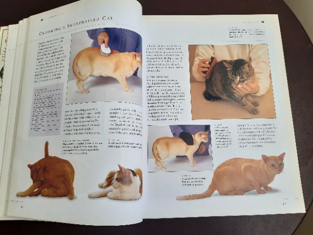 THE COMPLETE BOOK OF PETS PETCARE หนา 512 หน้า - moomproad.book - ThaiPick