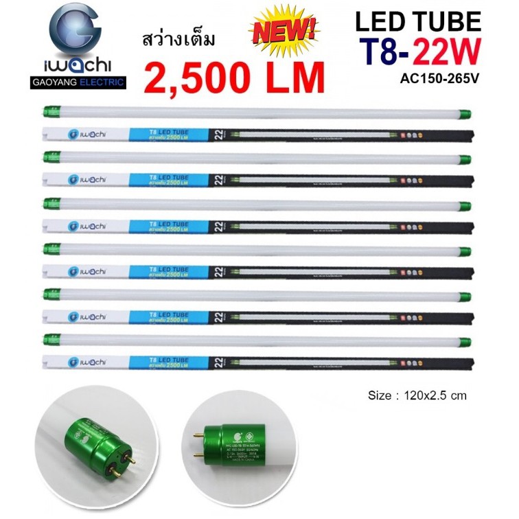 IWACHI หลอดไฟ LED T8 22W Daylight - toponepowerelectric - ThaiPick