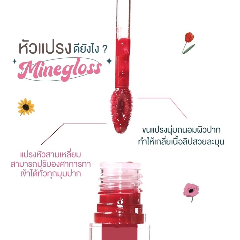 11.1 ส่งฟรี พร้อมส่ง Box set Mine Gloss gvana มายกลอส ลิปกลอสดอกไม้ ลิป ...