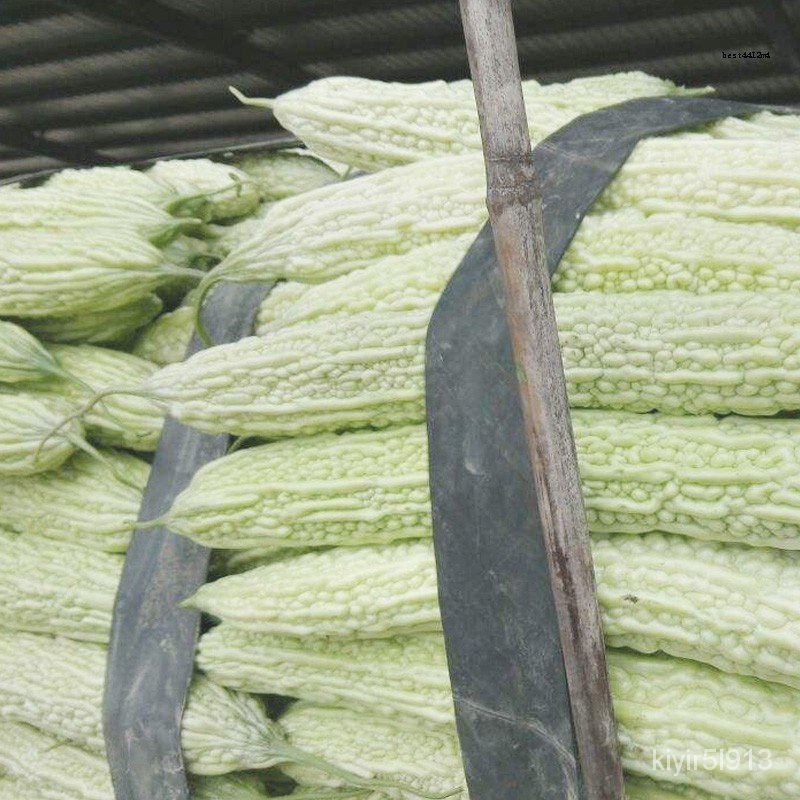 5pcs COD vegetable seeds-green leafy vegetables and micro-green ...