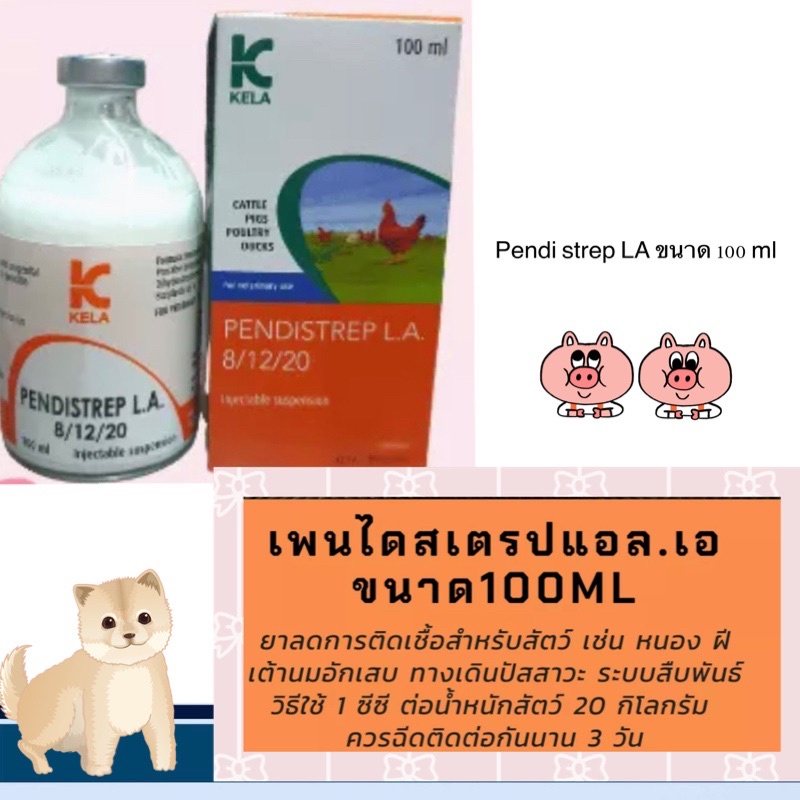 เพ็นไดสเตร็ป แอลเอ Pendistrep L.A. 100 ml ยาฆ่าเชื้อ (มีกล่อง ไม่มี ...
