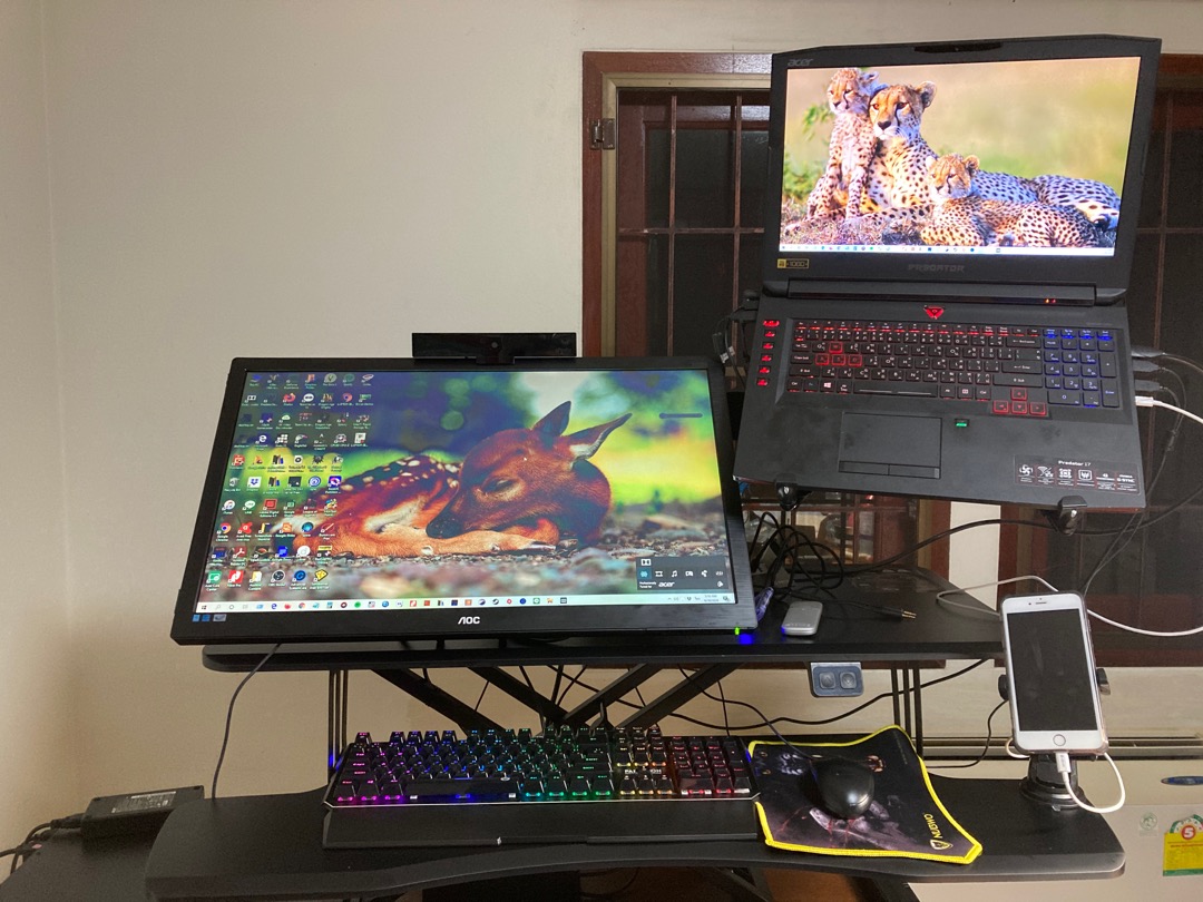 FlexiSpot Dual Monitor Arm (F7D Black) | Shopee Thailand