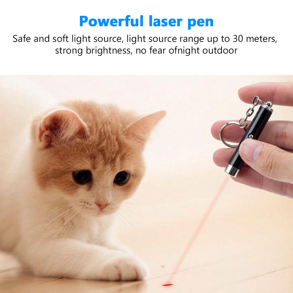2 In 1 Mini Keychain Laser Pointer Interactive Red Light LED Torch ...