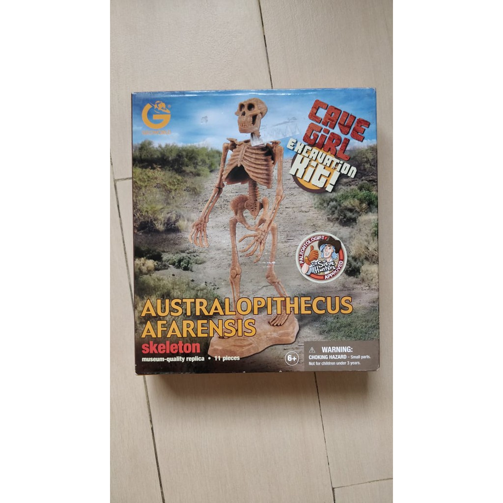 australopithecus afarensis ถูกที่สุด พร้อมโปรโมชั่น ม.ค. 2026 | BigGo ...