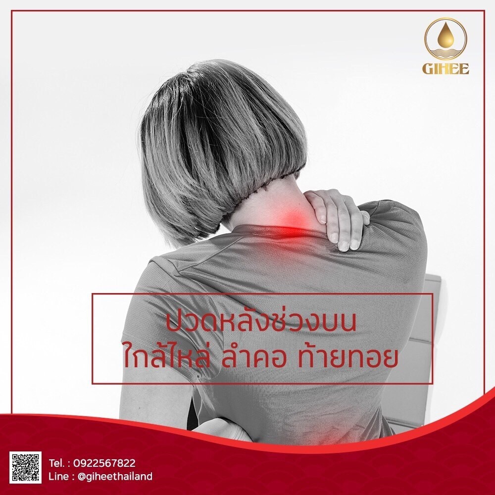 ส่งฟรี ไม่ต้องใช้โค้ด จีฮ๊ GIHEE น้ำมันนวดจีฮี 1 ขวด (50 ml.) มีเก็บ ...