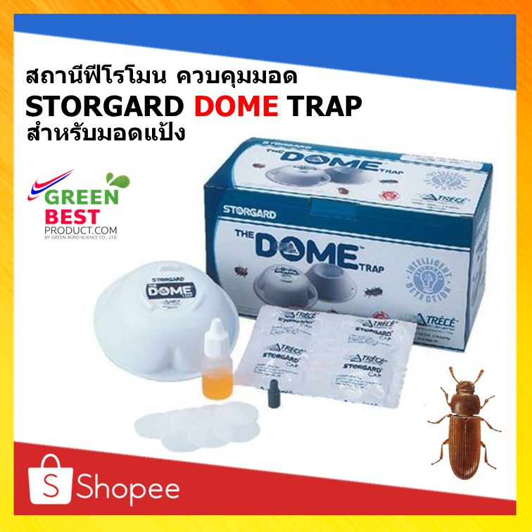 สถานีฟีโรโมน ควบคุมมอดแป้ง สตรองการ์ด โดม สำหรับแป้ง STORGARD DOME for ...