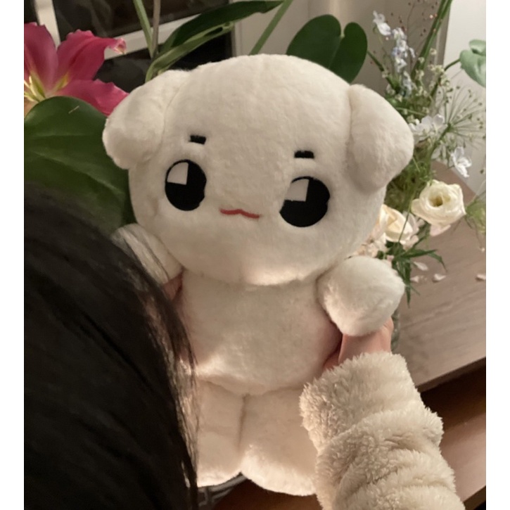 พร้อมส่ง ทยงย่า ( tyongya ) 40cm ตุ๊กตาแทยง ตัวใหญ่จุใจ น้องอ้วนตุ้บ ...