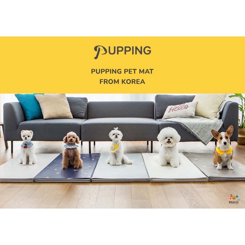 Pupping Step บันไดสำหรับสุนัข บันไดน้องหมา บันไดขึ้นเตียงสุนัข - maaruu ...