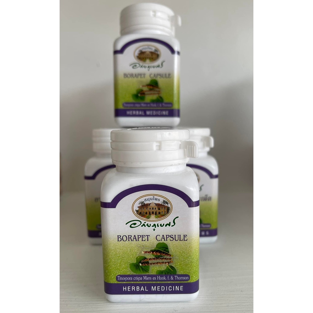 ยาฟ้าทะลายโจร อภัยภูเบศร 60 แคปซูลABHAI ANDRO อภัยภูเบศร อภัย แอนโดร ยาแคปซูล สารสกัดฟ้าทะลายโจร ...