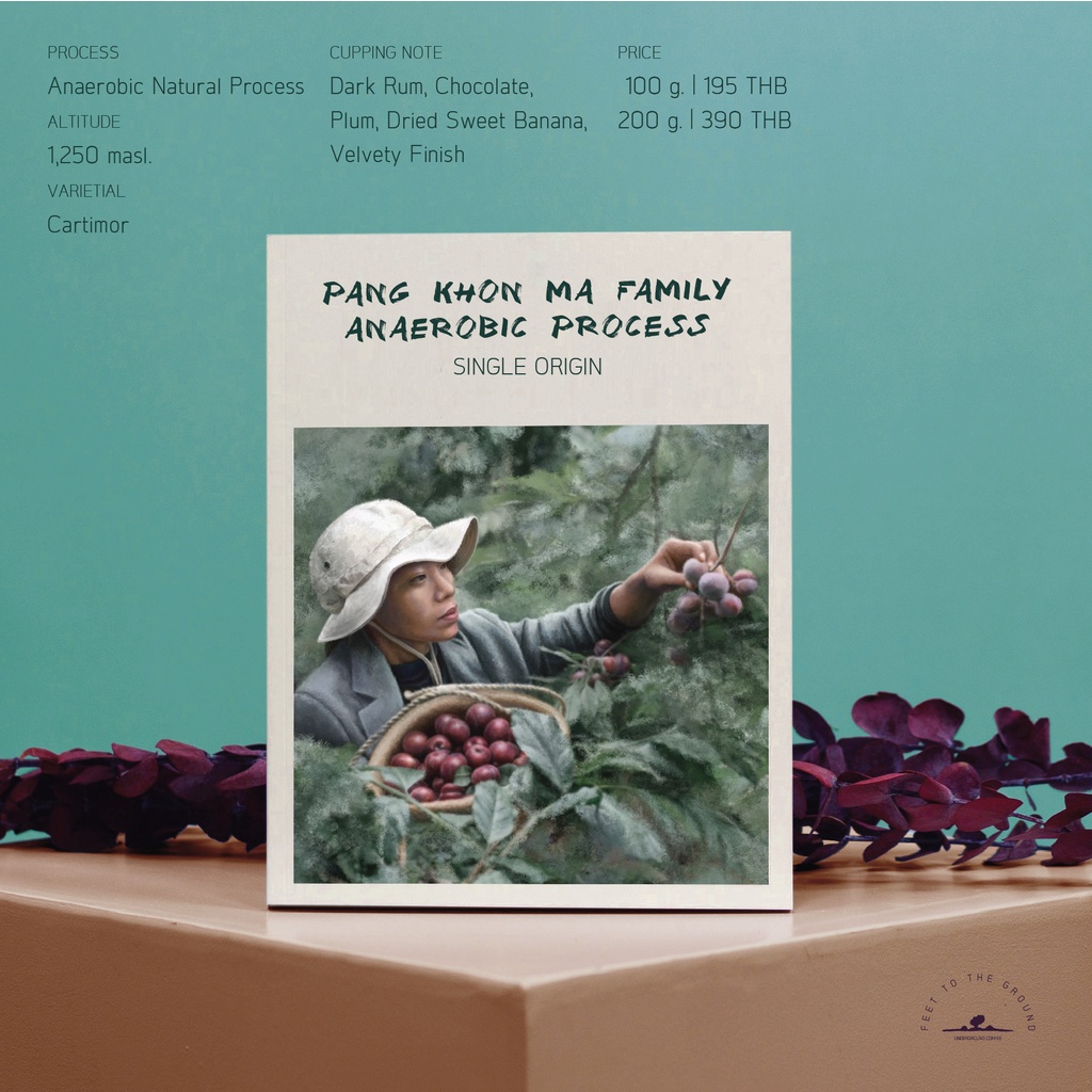 เมล็ดกาแฟ Colombia Betania Huila - Washed Process Omni-Roast FEET TO THE GROUND 100g.200g ...