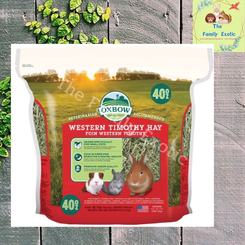 Oxbow Western Timothy Hay หญ้าแห้งทิโทธี สำหรับสัตว์ฟันแทะ - gbinlove ...
