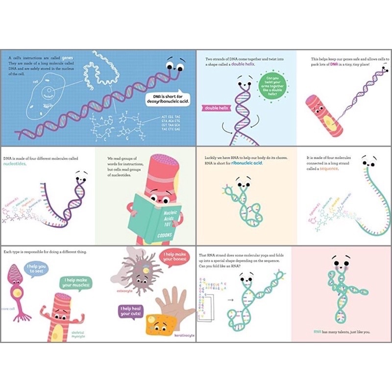 ชุดหนังสือเด็ก 4 เล่ม Baby Biochemist STEM Board Book University ...