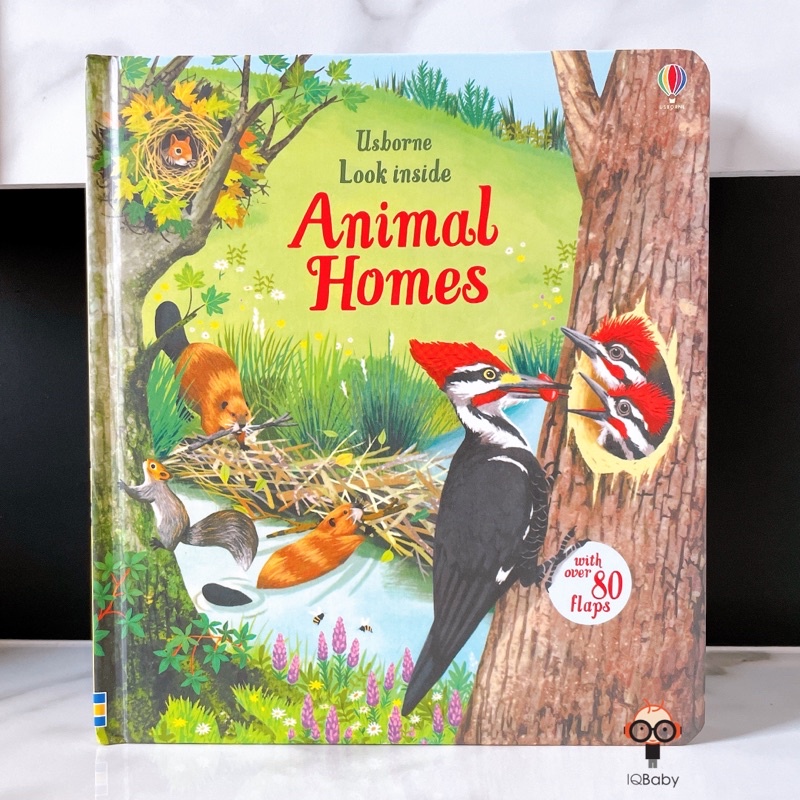 ถูกที่สุด️ ส่งเร็ว️ Usborne look inside Animal Homes Usborne Book Kid ...
