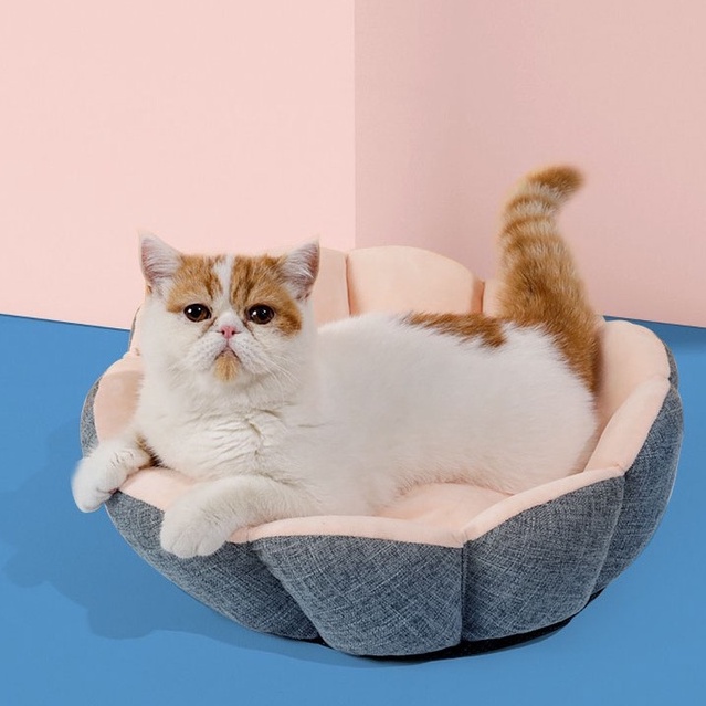 สินค้าใหม่ Rabbit Selection Pet Petshy(เพ็ทชี่) shell cat bed ที่นอน ...