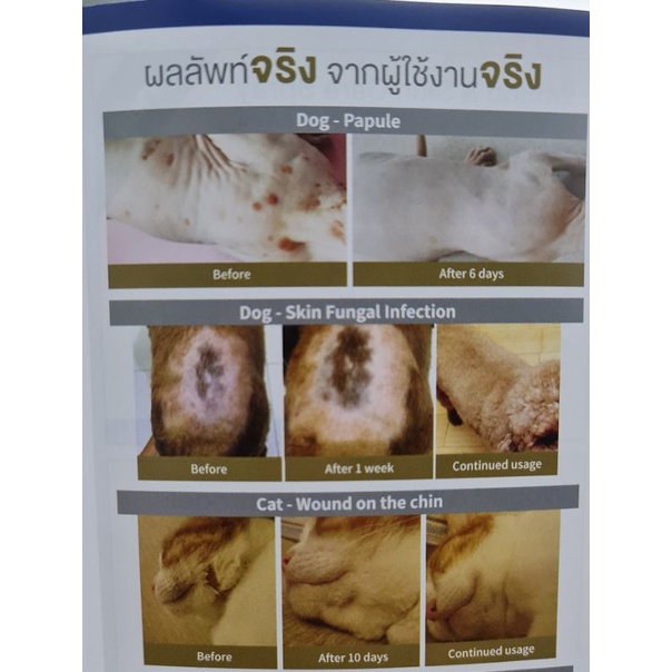 MicrocynAH Wound Skin Care Spray (ขวดใหญ่500 ml) สเปรย์กำจัดเชื้อ คัน ...