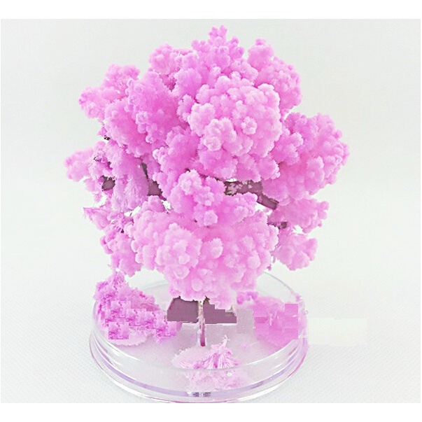 การทดลองวิทยาศาสตร์ชุดของเล่นเด็กนักเรียน10x8cm Artificial Magical ...