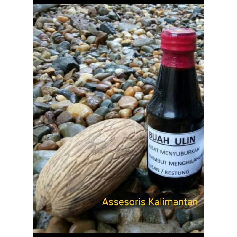 Ulin Seed Oil (hair Fertilizer And Uban Removal ) น้ํามันปลูกผม ...