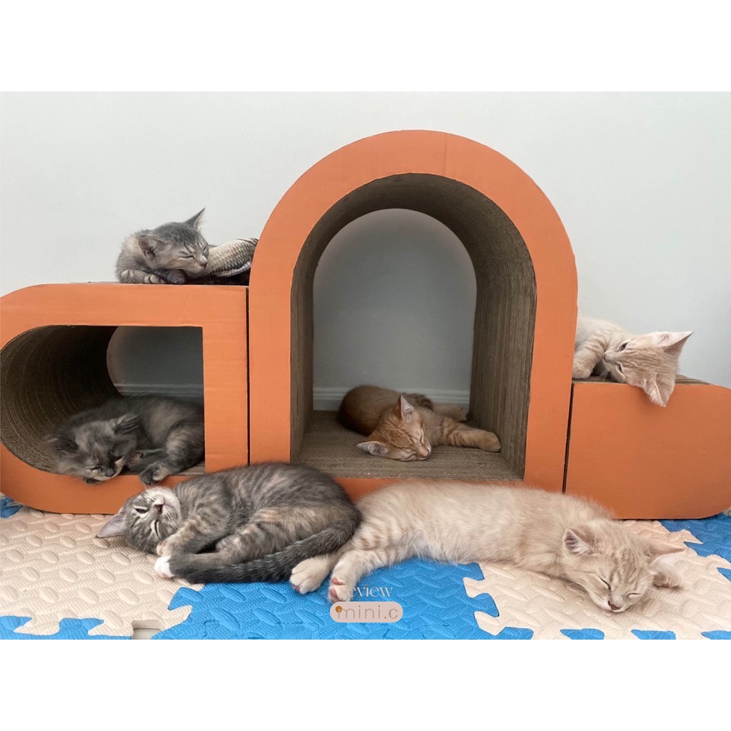 ที่ลับเล็บแมวอาร์ค ทรงโค้งมน สไตล์มินิมอล - ARC cat scratcher (แบบ Set ...