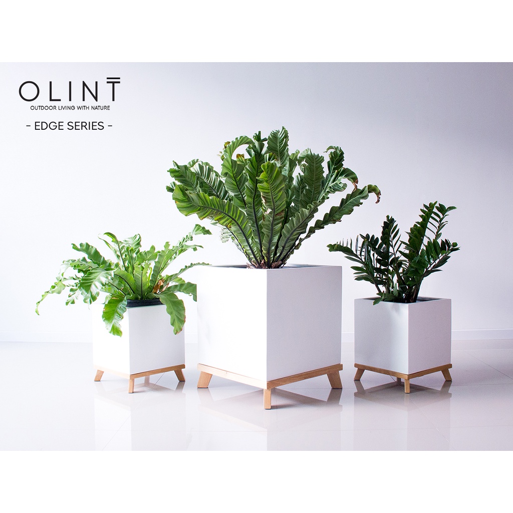 Olint ถูกที่สุด พร้อมโปรโมชั่น - ก.พ. 2022 | BigGo เช็คราคาง่ายๆ