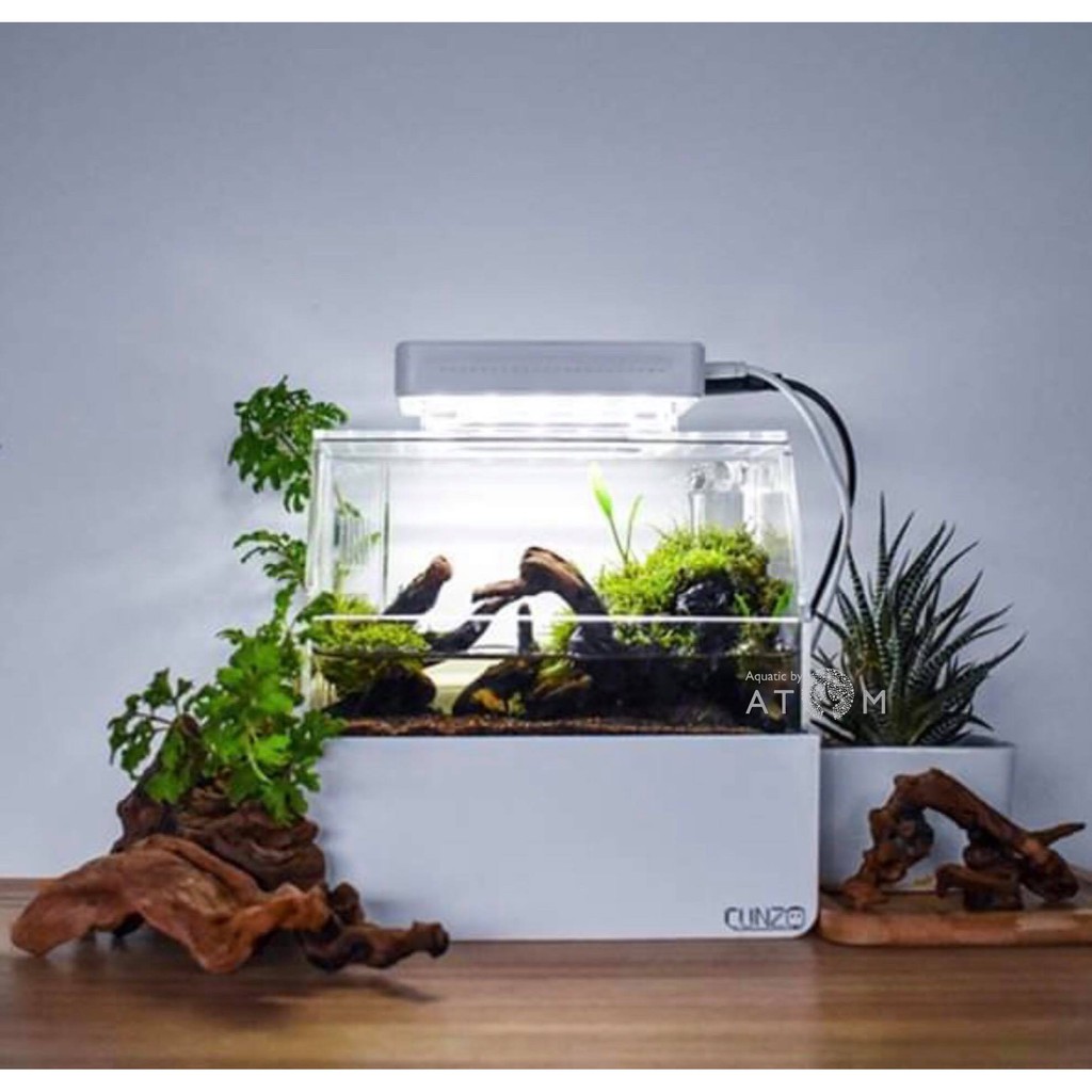 (พร้อมส่ง) ตู้ครึ่งบกจิ๋ว ตู้ไม้ชื้นจิ๋ว ตู้ปลาจิ๋ว Micro Fish Tank ...